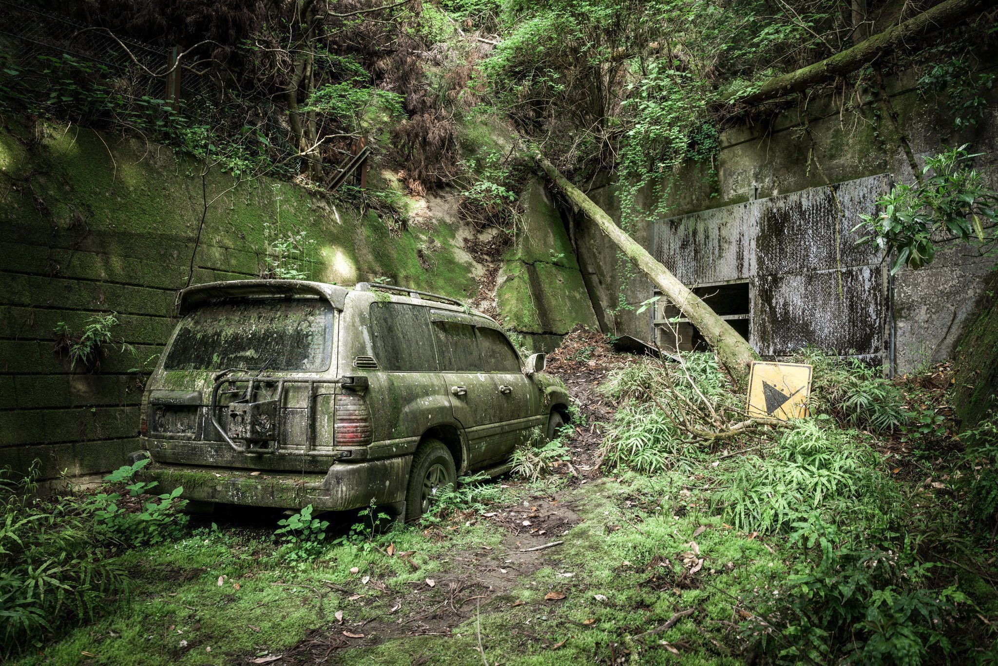 toshibo｜廃墟と写真 on Twitter: "神隠しにあいそうな廃道の行き止まり。 https://t.co/37mVYm9WIT" / Twitter