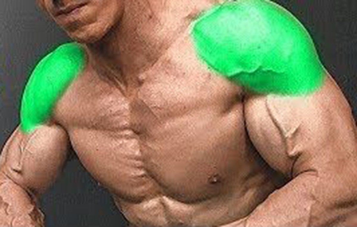 How to build an aesthetic physique (without using steroids): - Thread ...