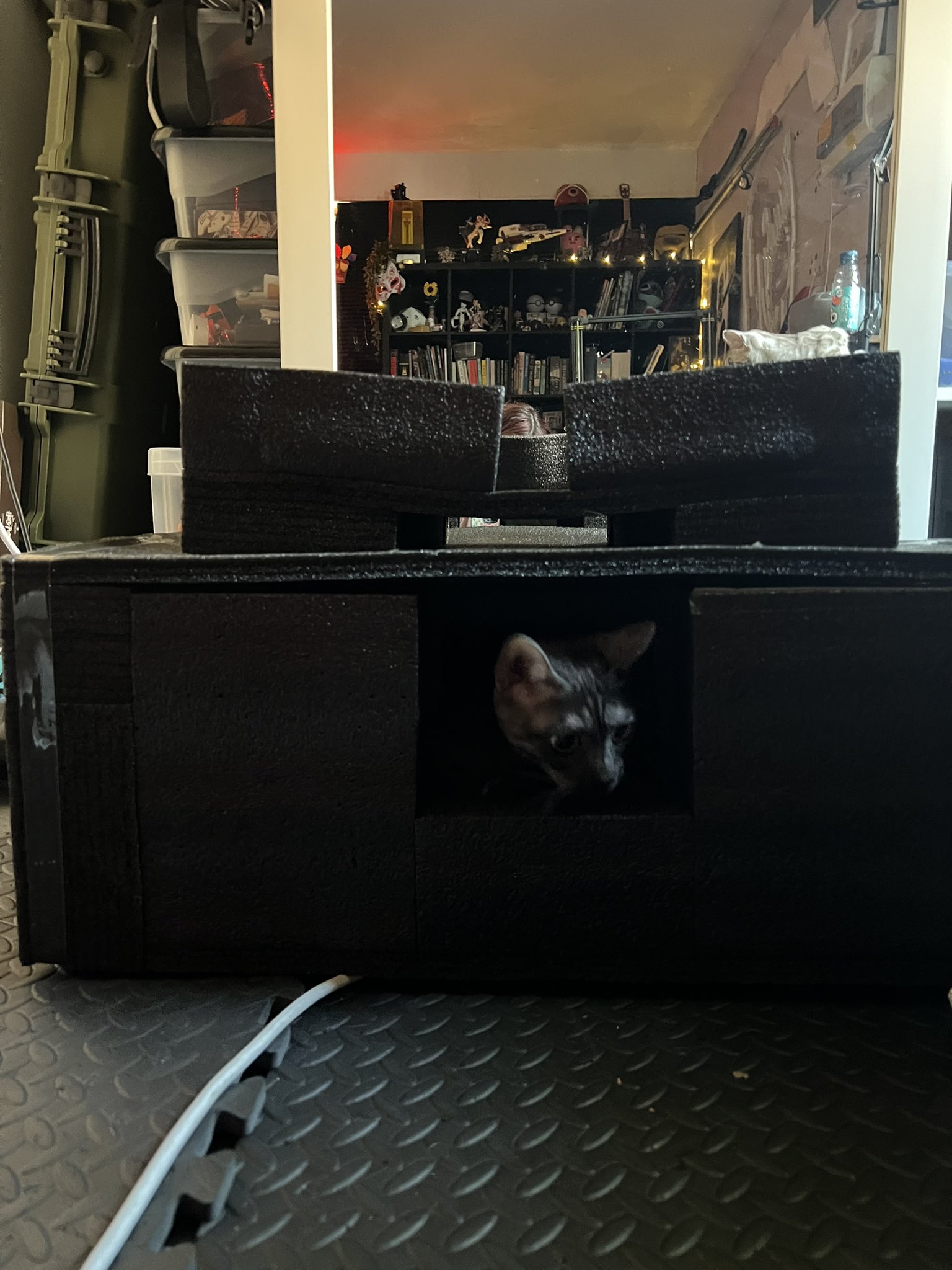 TW Pornstars - 3 pic. Goddess Bellajynx 𓆩♡𓆪. Twitter. I got a bunch of ...