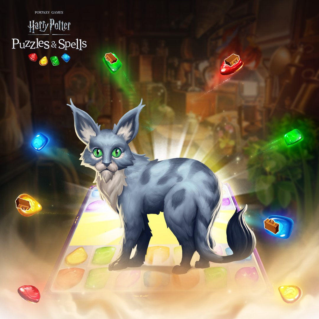 Kneazle Harry Potter