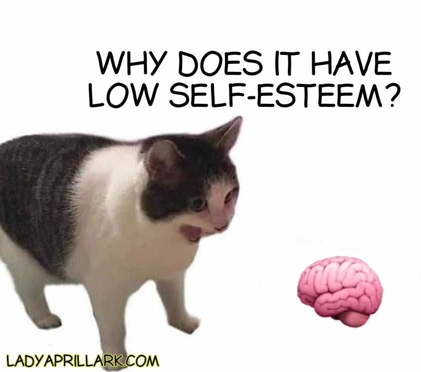 Rhetorical Question Memes YARN | Rhetorical Question! | Unbreakable