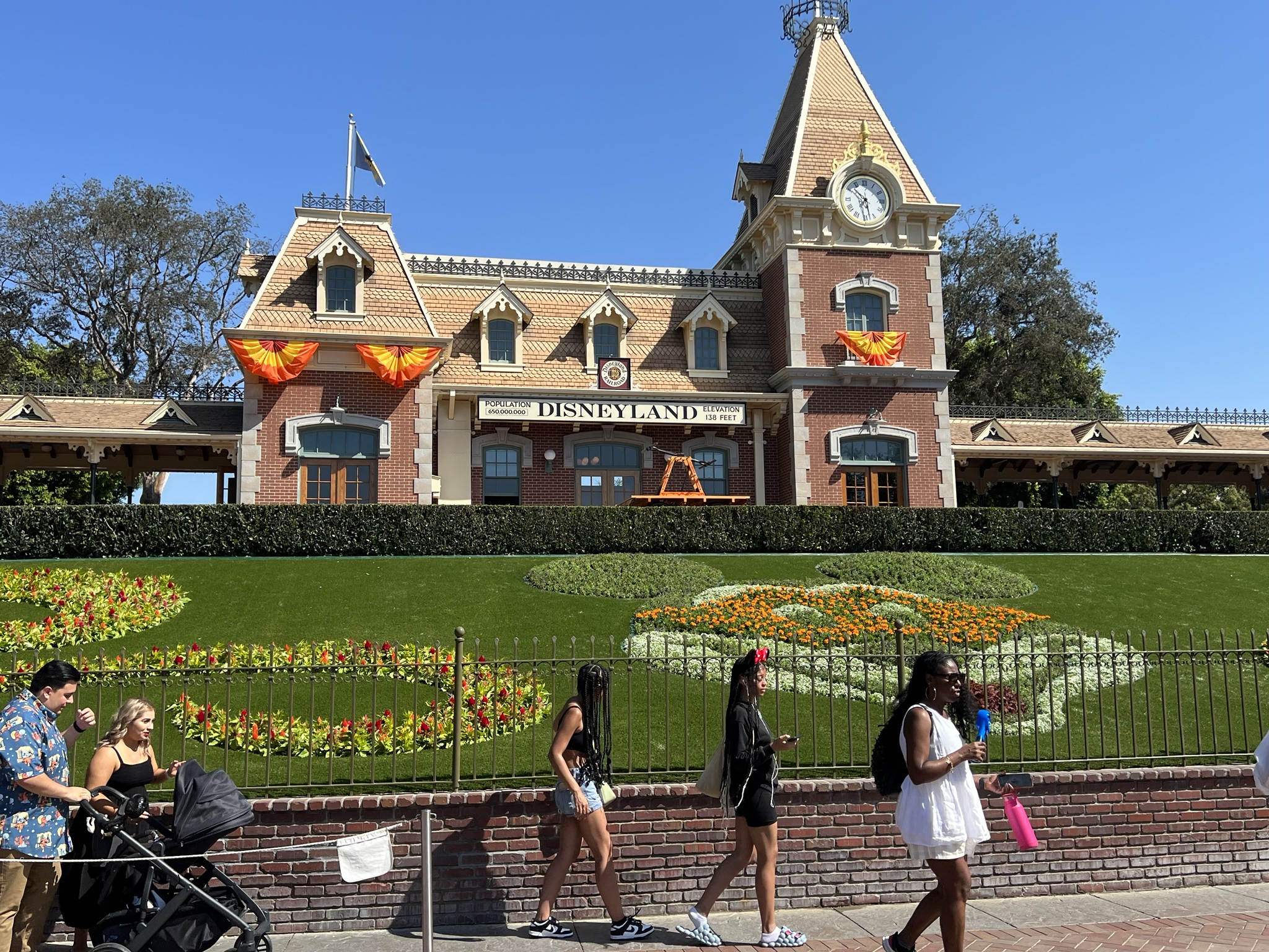 Disney Grass