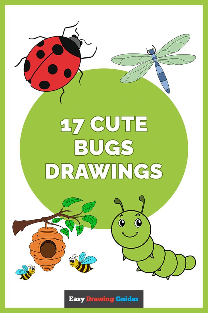 Cute Bug Drawing