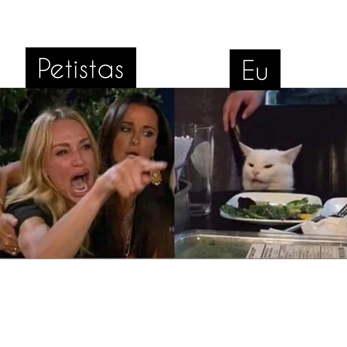 VavaPerez 🇧🇷🙏 2️⃣2️⃣'s Threads – Thread Reader App