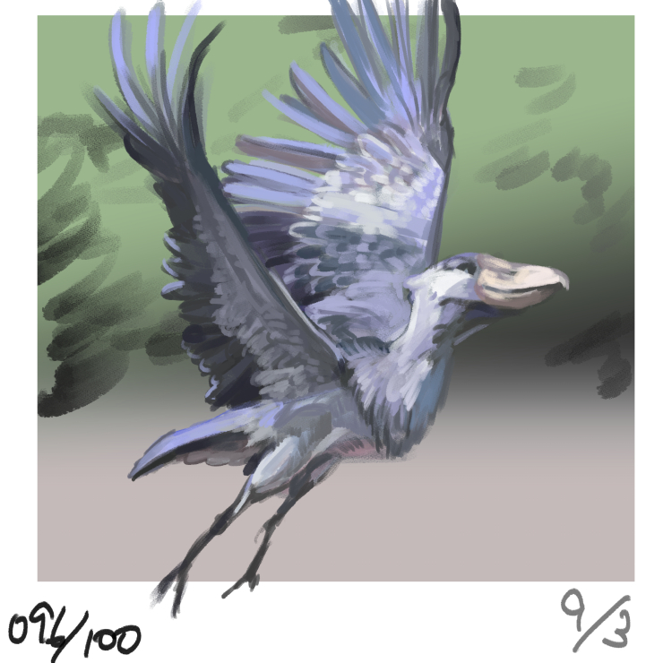 背景資料写真家かさこ＠無料画像毎日投稿 on Twitter: "RT @cyocorune: ハシビロコウの羽根、広げるとこんなに立派なんですなあ #タイムラプス ：https://d ...