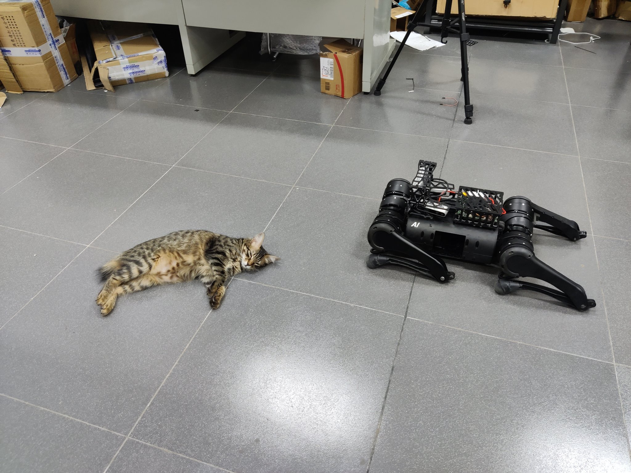 Qiayuan Liao (@qiayuanliao) / Twitter