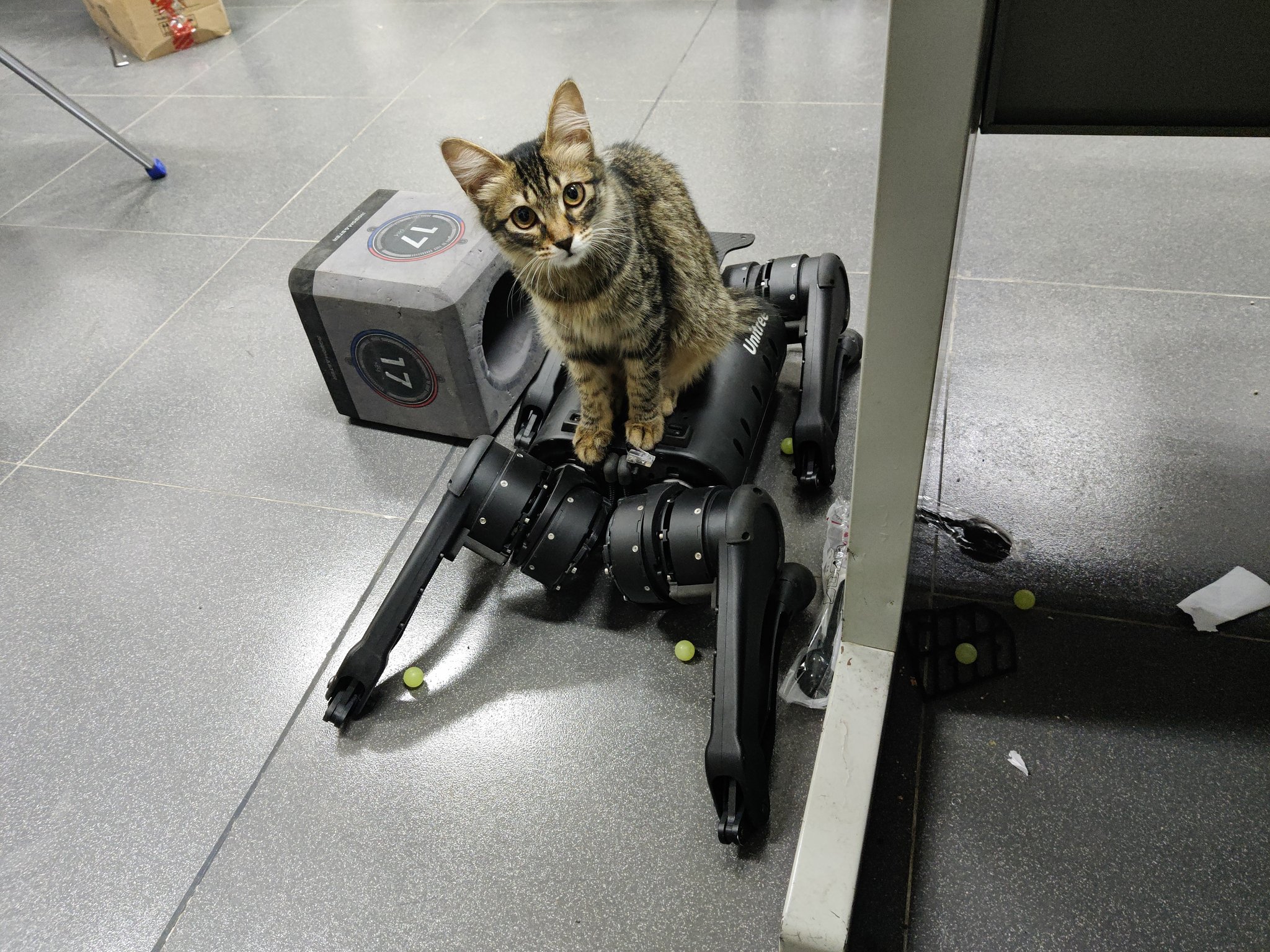 Qiayuan Liao (@qiayuanliao) / Twitter