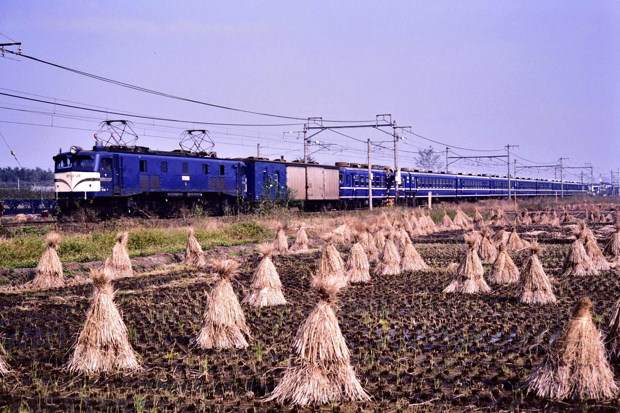 とーちゃん on Twitter: "東北本線 急行八甲田 EF58 106 https://t.co/zwf8l2MFX7" / Twitter
