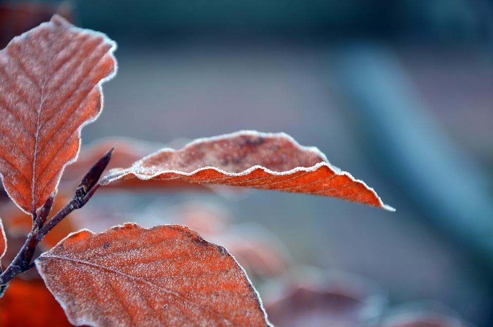 Thread by @Jachym on Thread Reader App – Thread Reader App