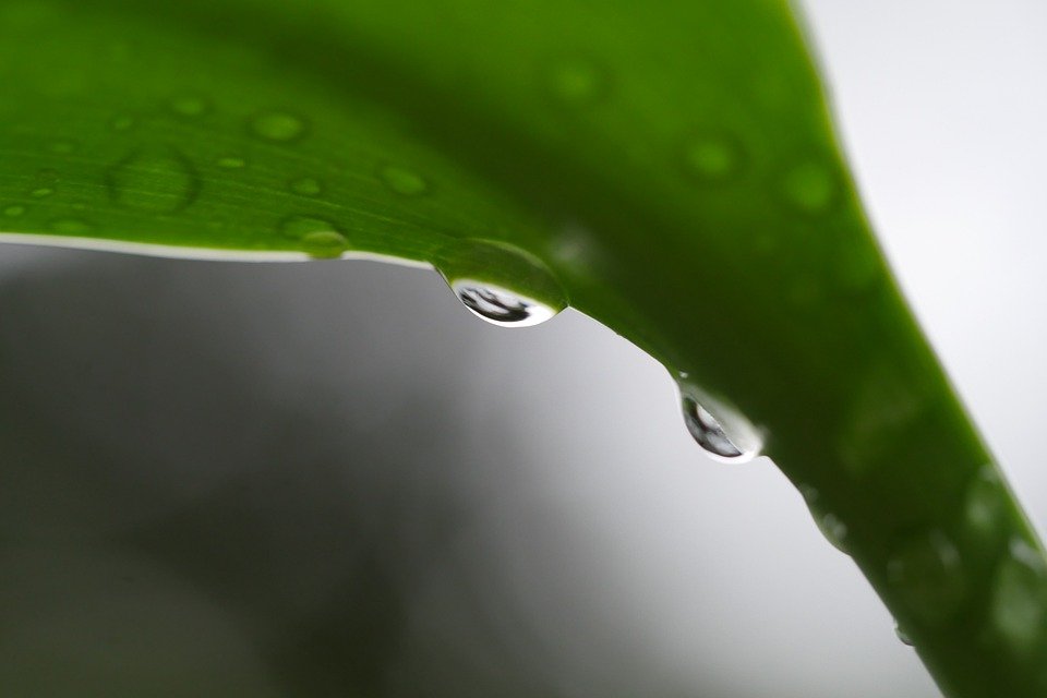 Thread by @Jachym on Thread Reader App – Thread Reader App