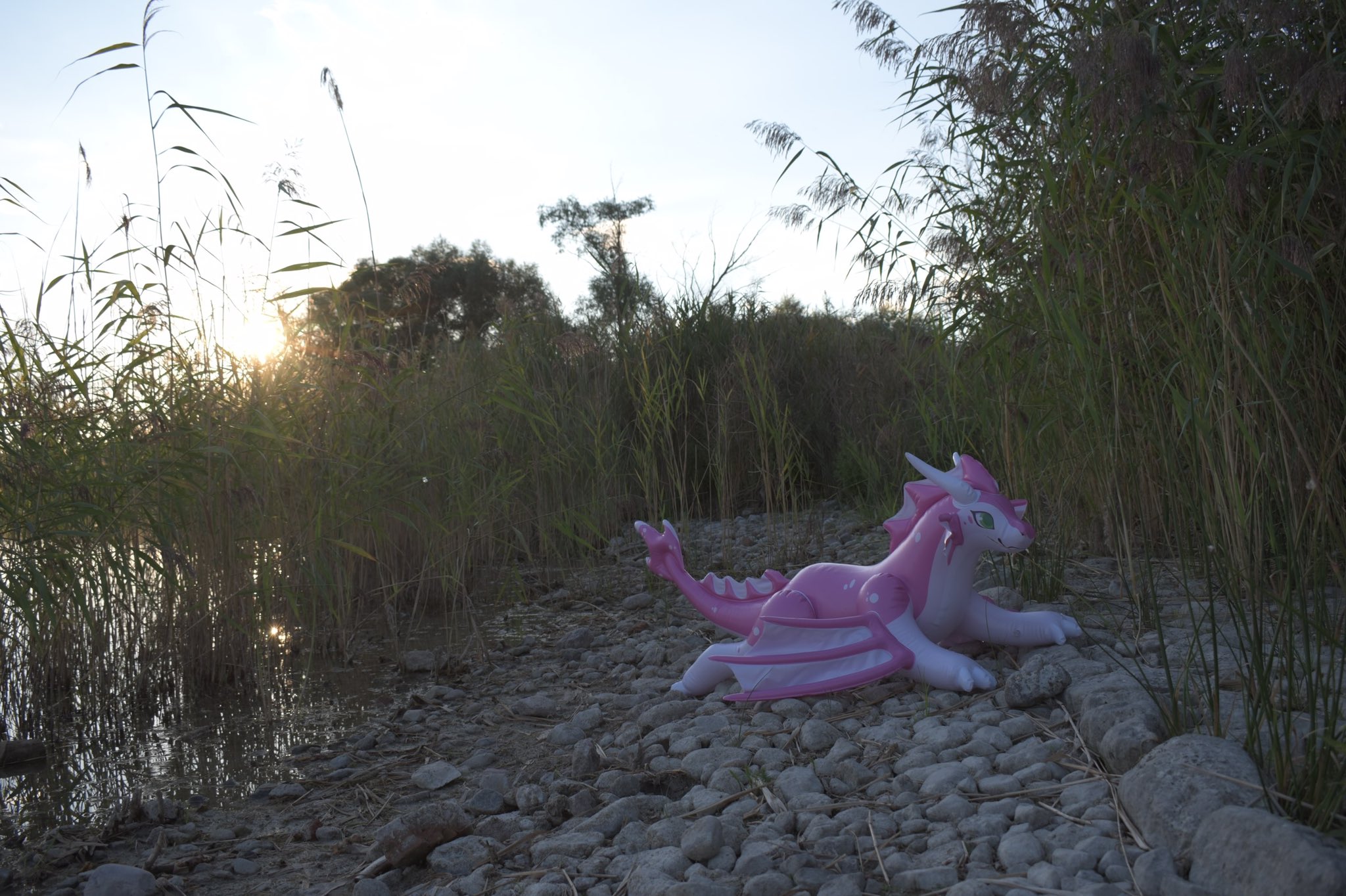 Grace on Twitter: "Some more pics from Cerisey, made by @FactoryCreature, for #squeakysaturday ...