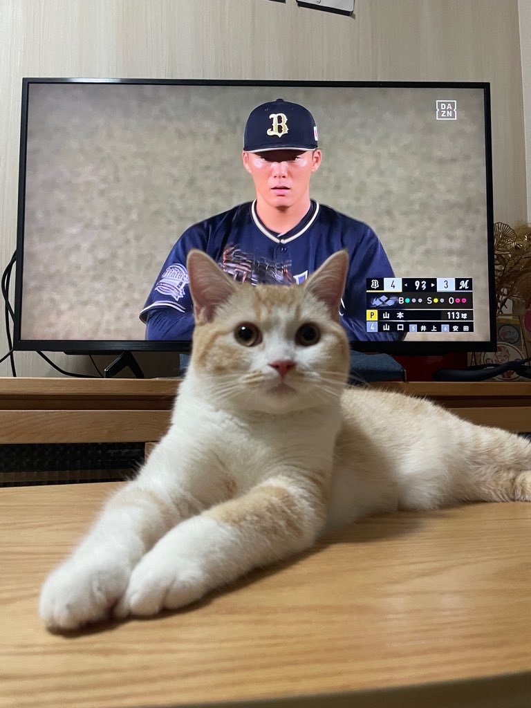おてもやん🌶 On Twitter Rt Potechi117 山本由伸投手、ナイスピッチングにゃ〜🐈 オリックス おりほー 山本由伸 2位浮上 