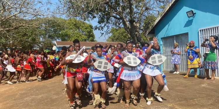 Zulu maidens have shown up for the Umkhosi Womhlanga or reed dance ...