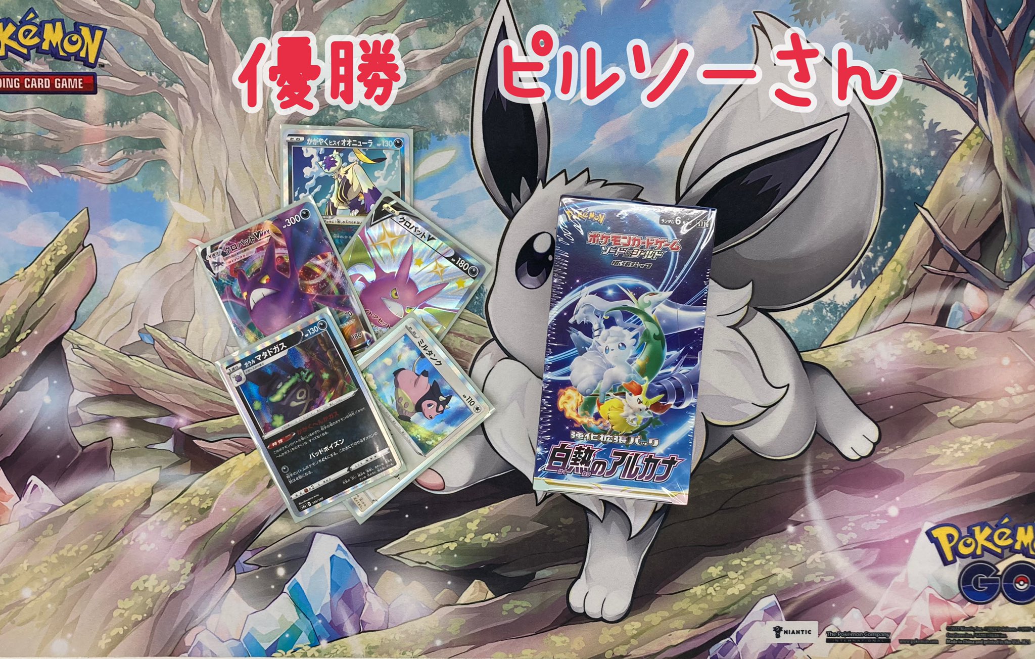 ペチリンピック (@masuke_pechi) / Twitter