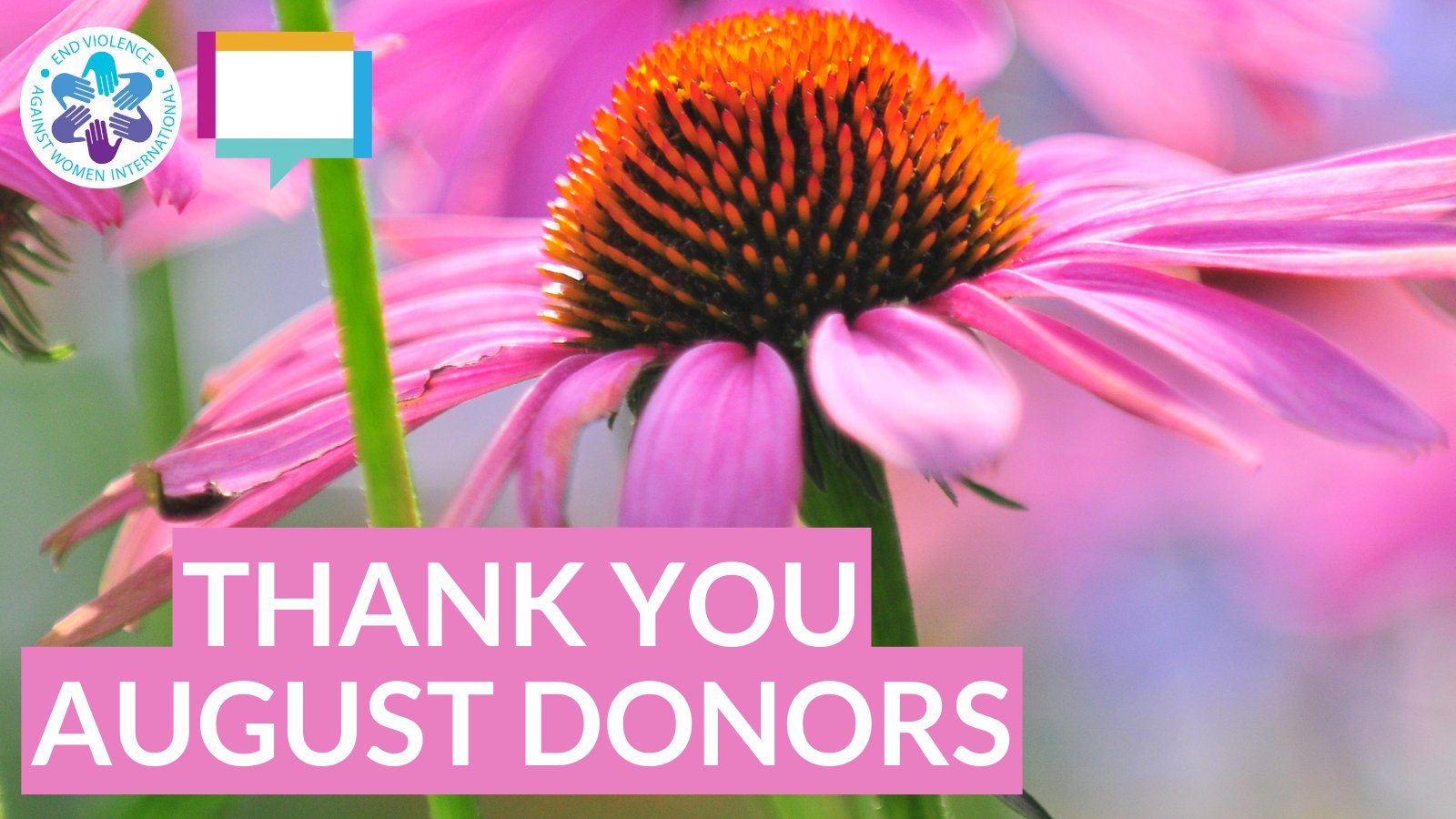 EVAWinternational on Twitter: "Thank you to everyone who donated in August! Your support makes ...