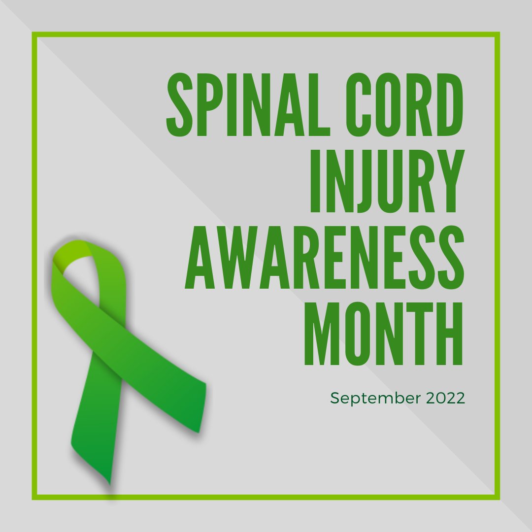 Spinal Cord Injury Ribbon | atelier-yuwa.ciao.jp