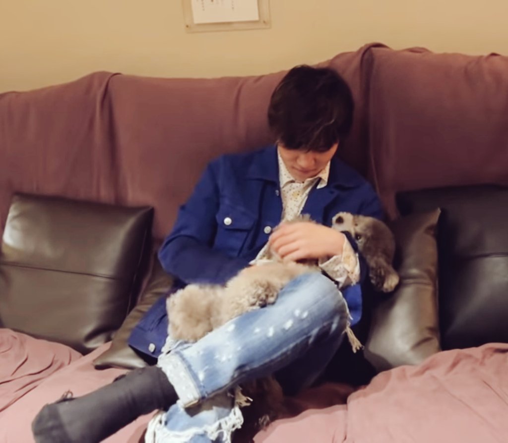 Python on Twitter: "@arare_sleeper @iK6h7Kwcz9cydd8 見てて微笑ましいです😄 https://t.co/Vs0TTONL2m" / Twitter