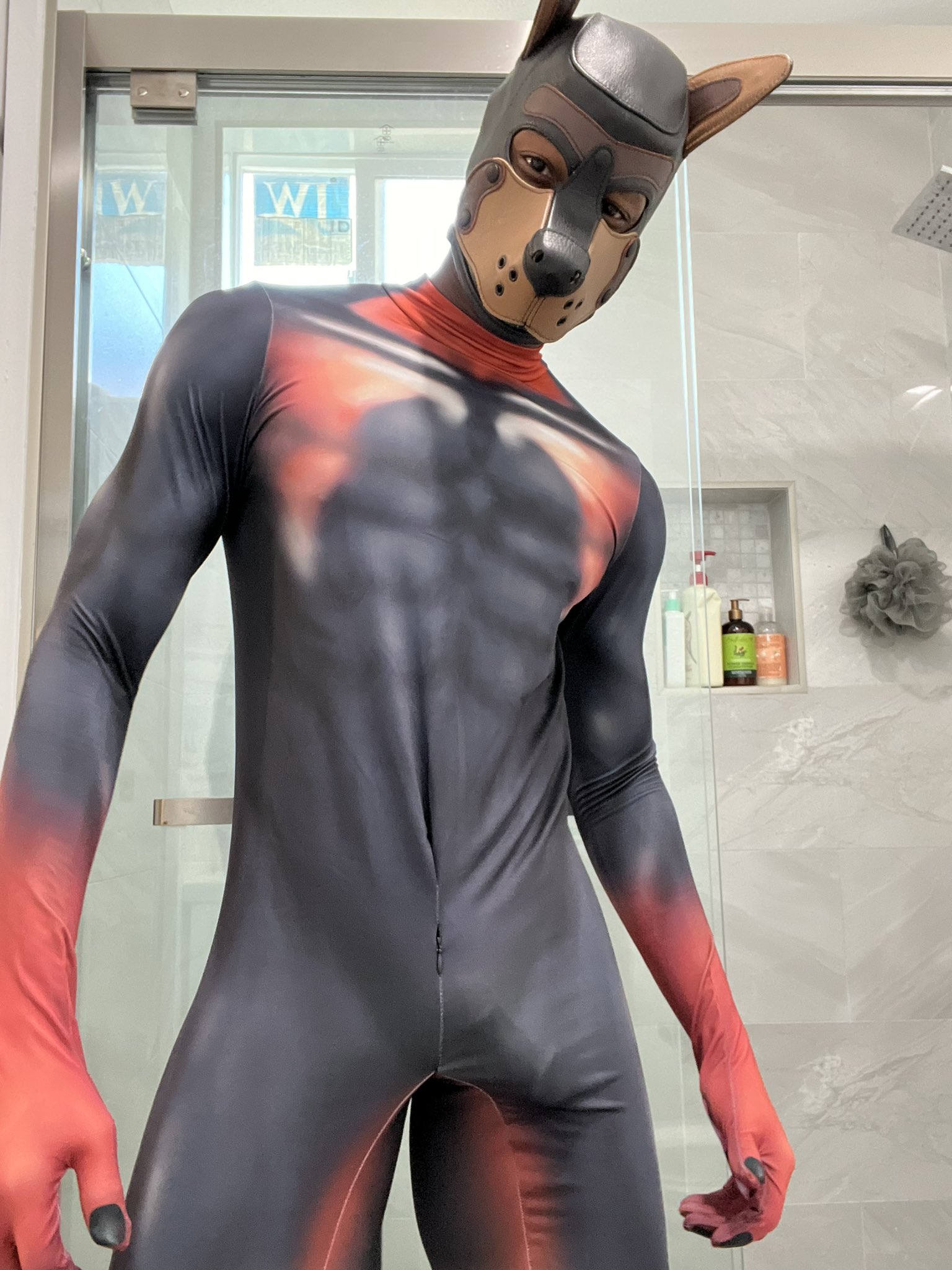 Pup_Six2Six 🐾 on Twitter: "Pup 626 is trying out some new stuff.. do we like?? #pup #pupplay # ...
