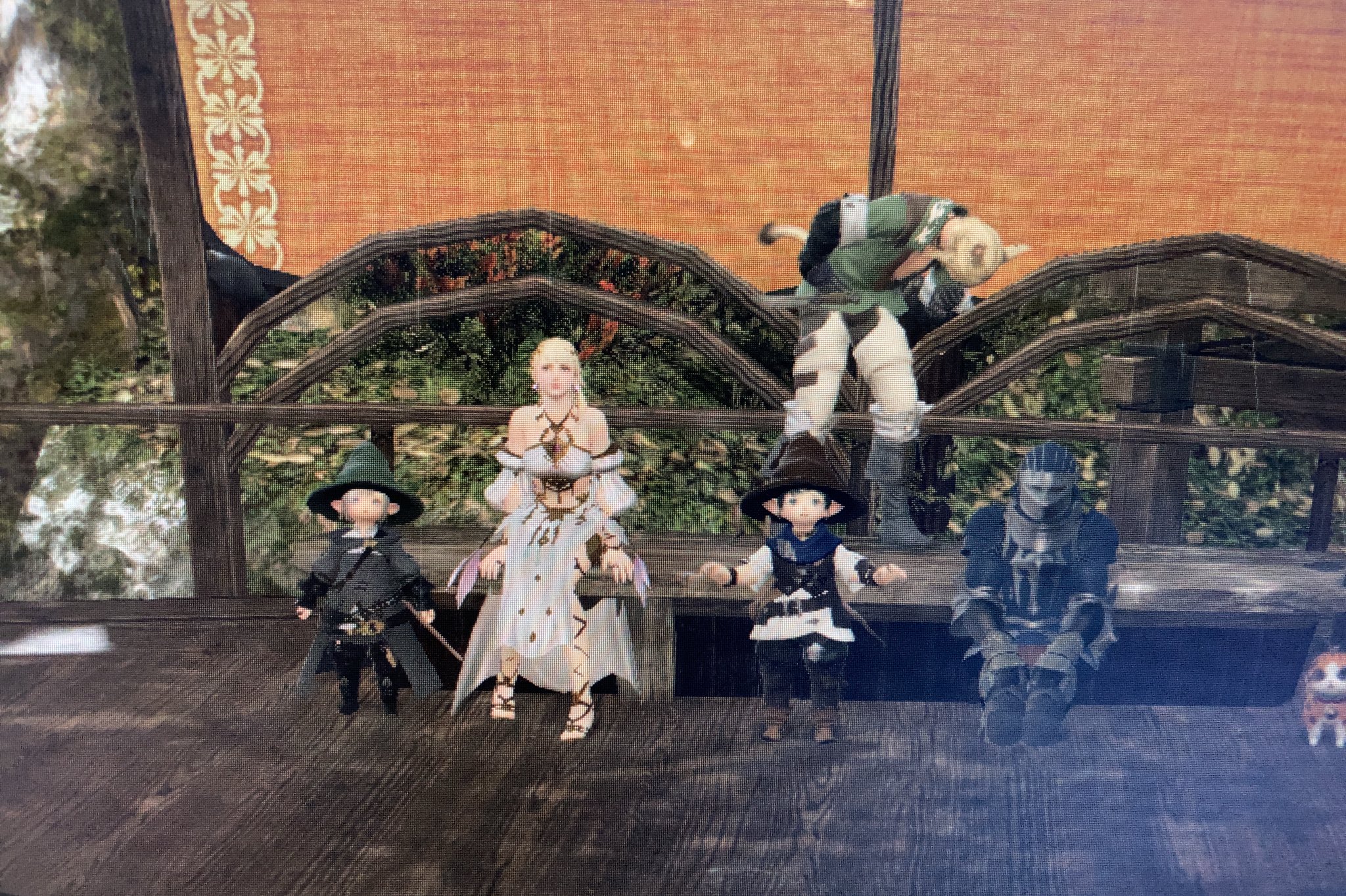 ぽんつゆ@DQ10,FF14 (@Pontsuyu_Ponpon) / Twitter