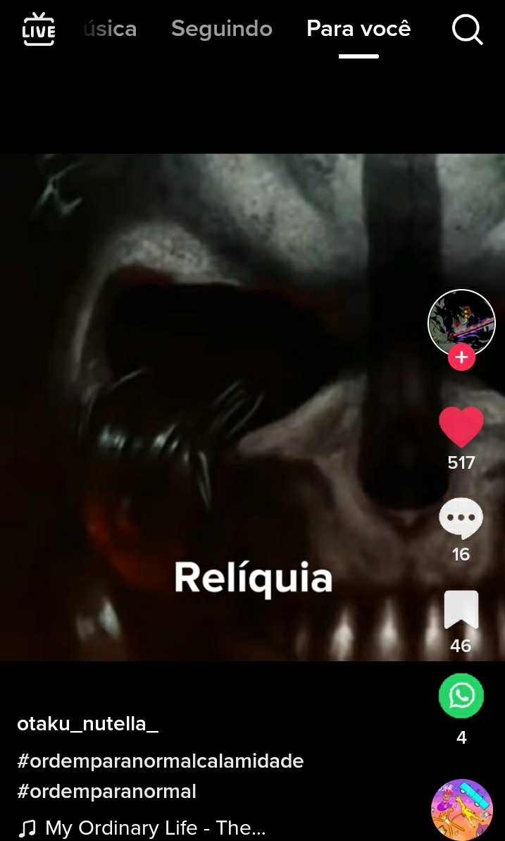 🚪Thiago Fritz Todo Dia Com Alguma Porta🚪 on Twitter: "COMO O TIKTOK PODE SER TÃO BURRO ...