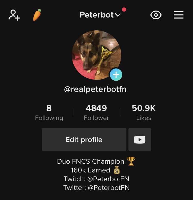 33 Nox 🪄 on Twitter: "Analytics with @PeterbotFN ever since I started working with him! https ...