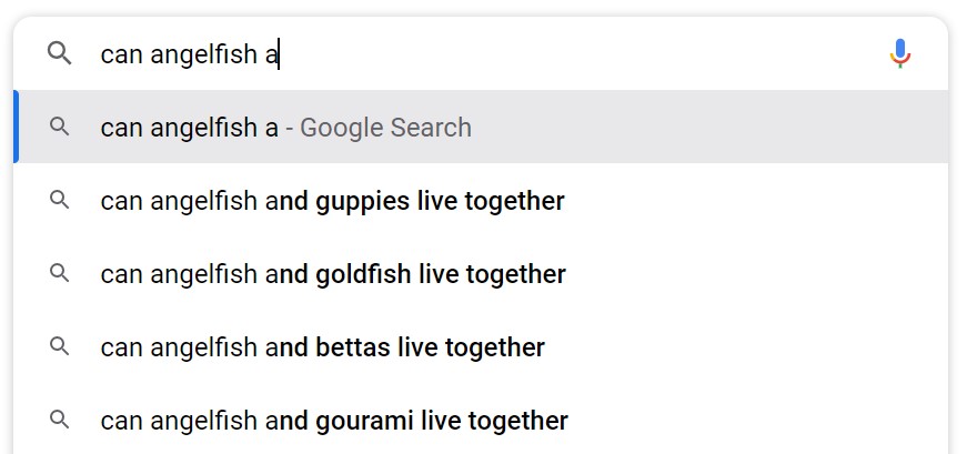 Google is the best keyword research tool. Seriously, you can use it to ...