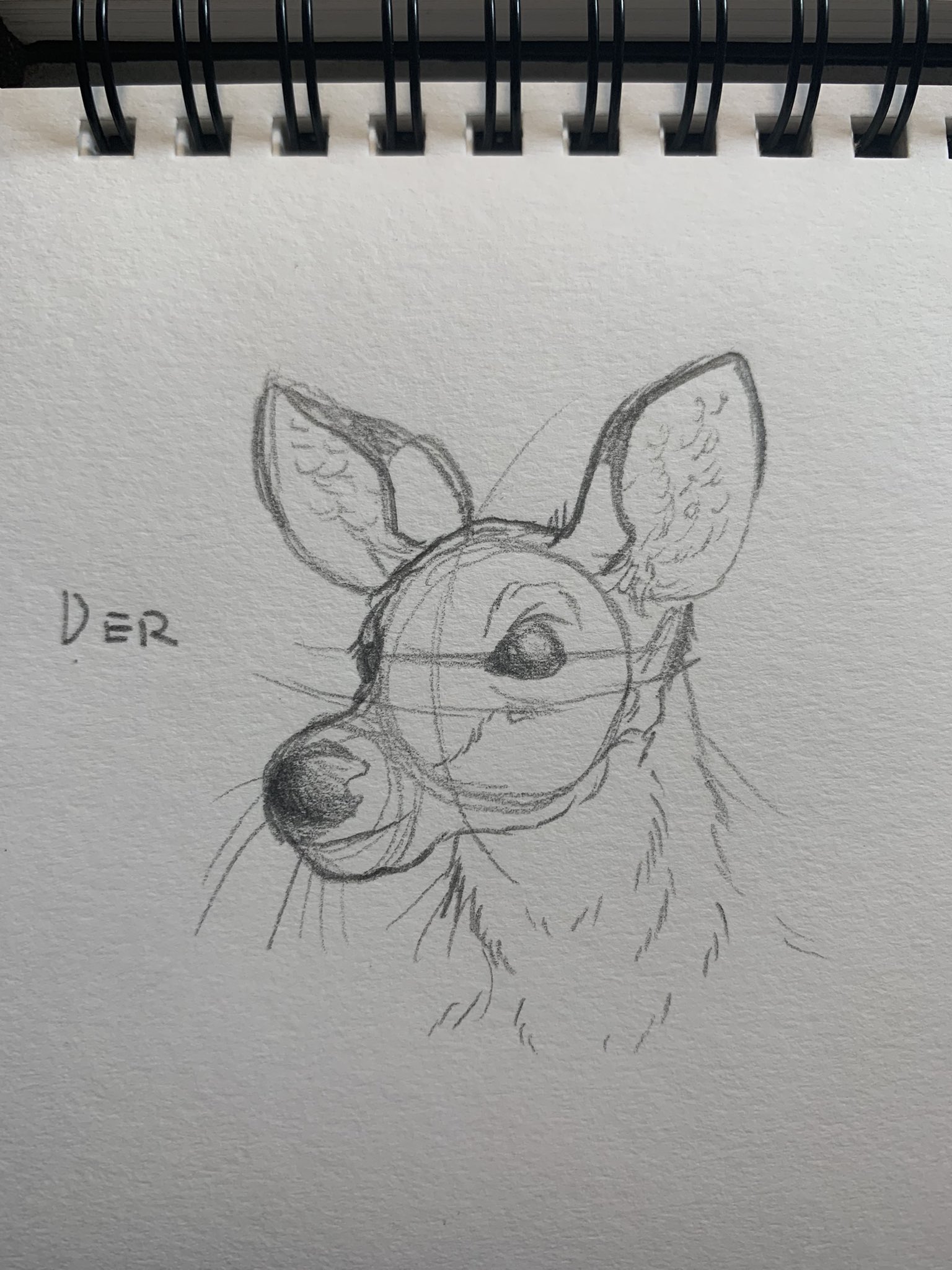 Bear Needs Snacks (@needs_bear) / Twitter