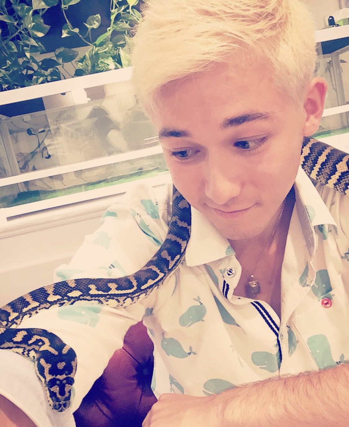 Louis-San on Twitter: "@Mitsugi_MrM C’est le même fauteuil. https://t.co/IxyoOqAQAg" / Twitter