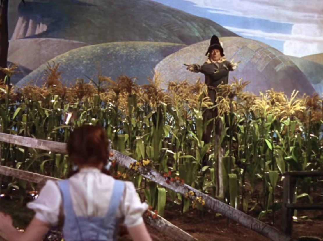 The Wizard Of Oz Scarecrow Scene
