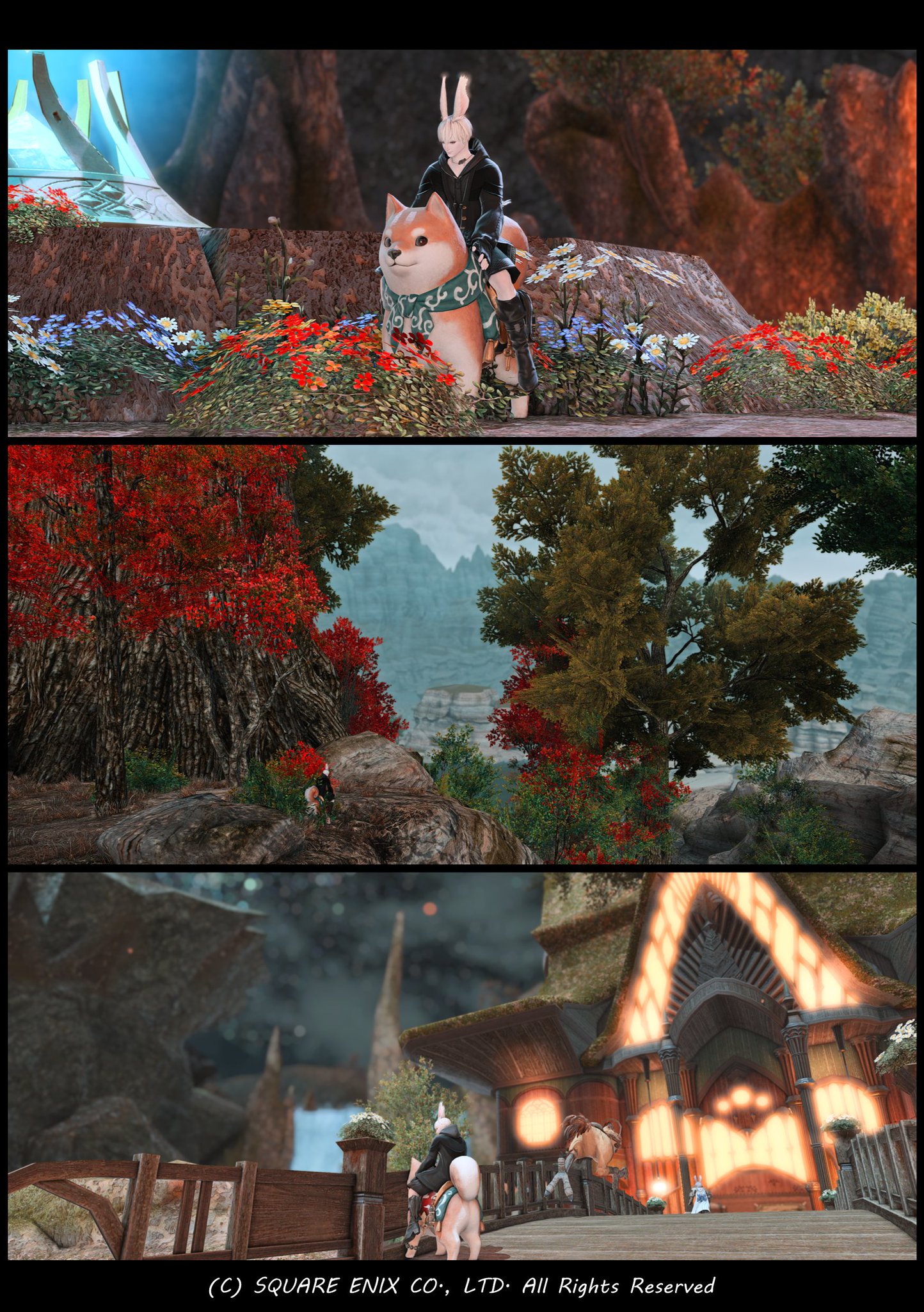 Leyda@FF14 on Twitter: "秋を探しにお散歩🐰🐶 https://t.co/8GGGmoo1ZB" / Twitter