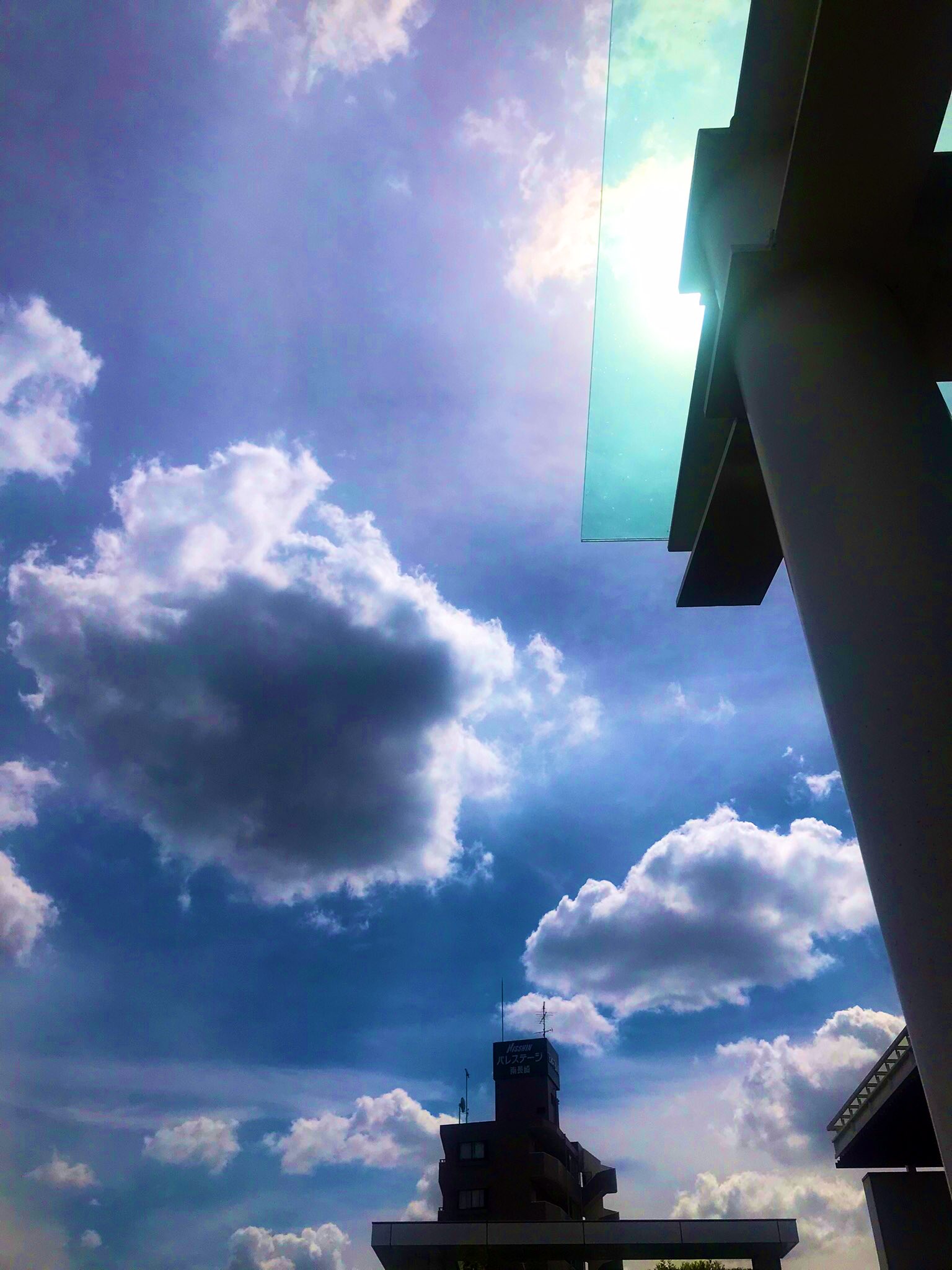 Naoki.Maruyama(ねりまたん) on Twitter: "今日の東京の空 #tokyo #新宿区 #空が好きな人と繋がりたい #空がある風景 #photography https ...