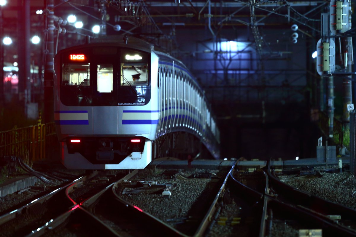 さるちお【SAH-】 on Twitter: "E217系"