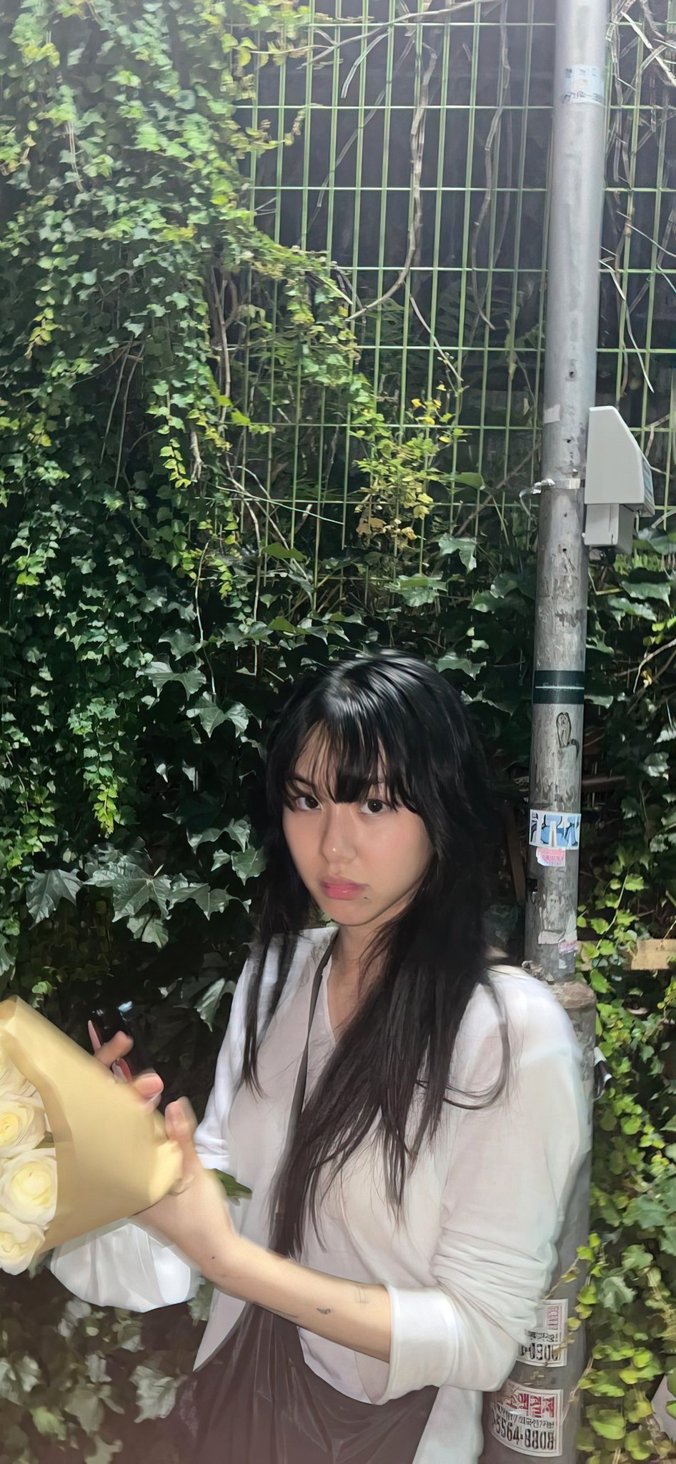 pogzilla on Twitter: "DL: https://t.co/KMH0pIqBlB https://t.co/Wsx2aNixDA" / Twitter