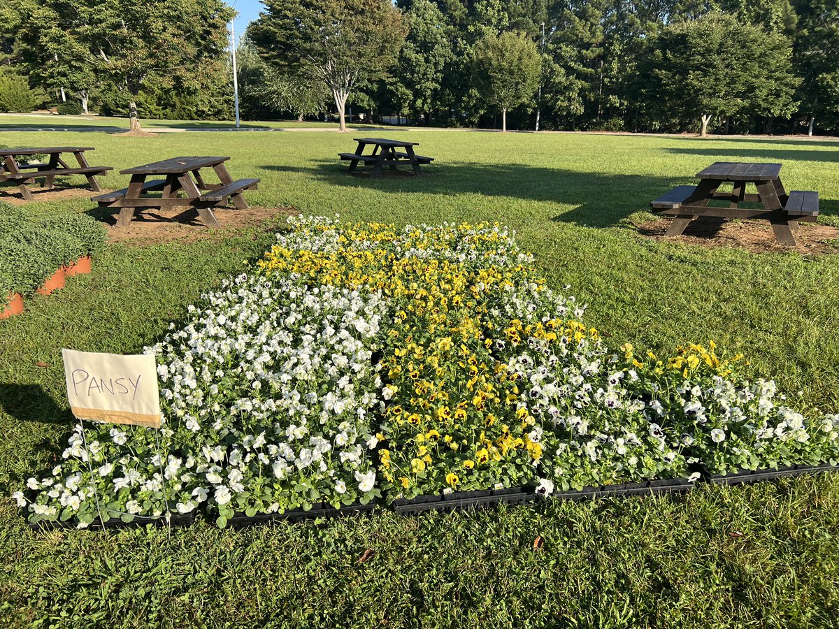 Holly Ridge | Wake County School District Athletics