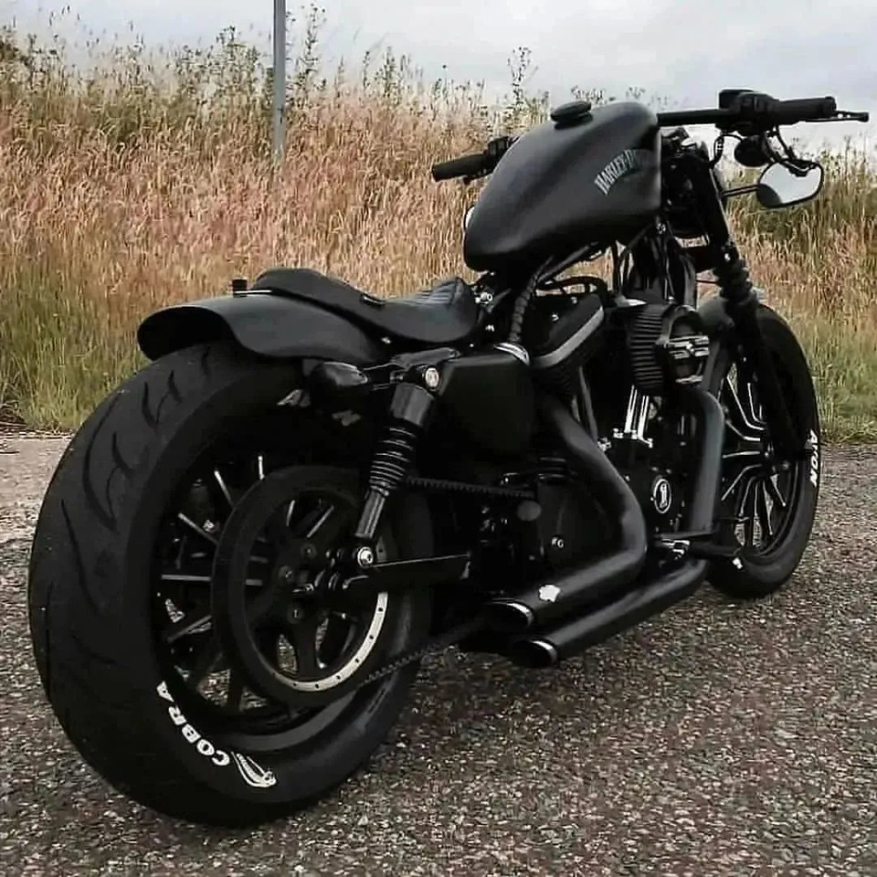 Harley Sportster Iron Custom