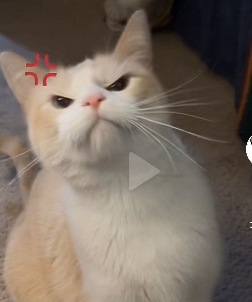 Girl Of The Year On Twitter Love These Tik Tok Filters