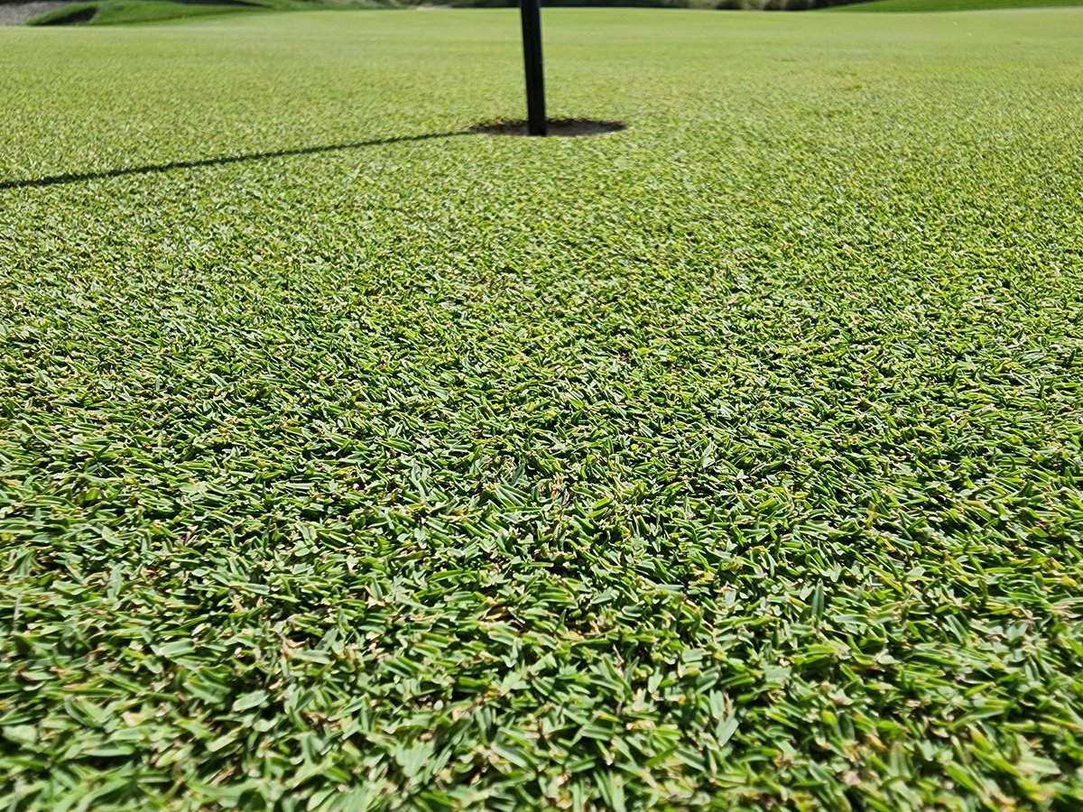 POGO – POGO Turf Pro