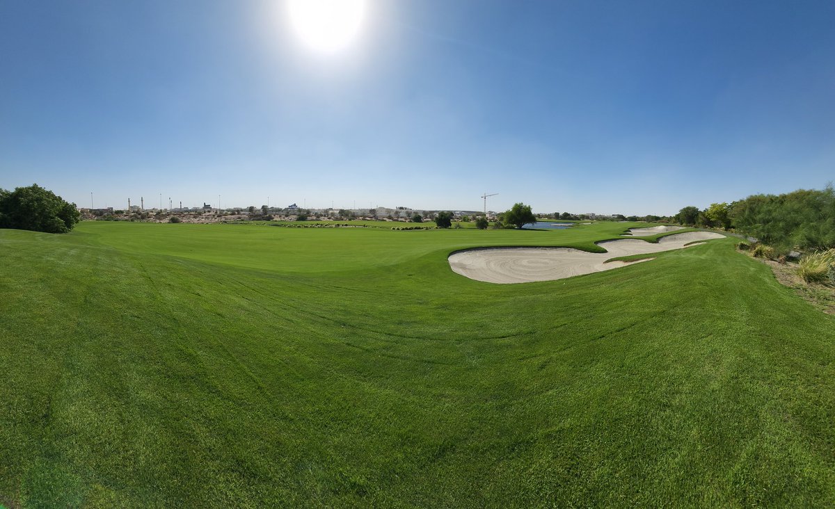 POGO – POGO Turf Pro