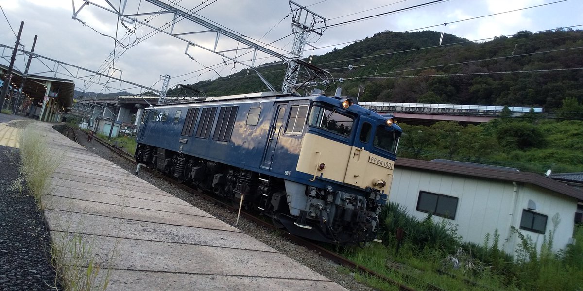 中央線 on Twitter: "9月5日にEF-64 1031号機を撮影しました。停車している間にE233系、E353系、EH200と撮ることが出来ました。"