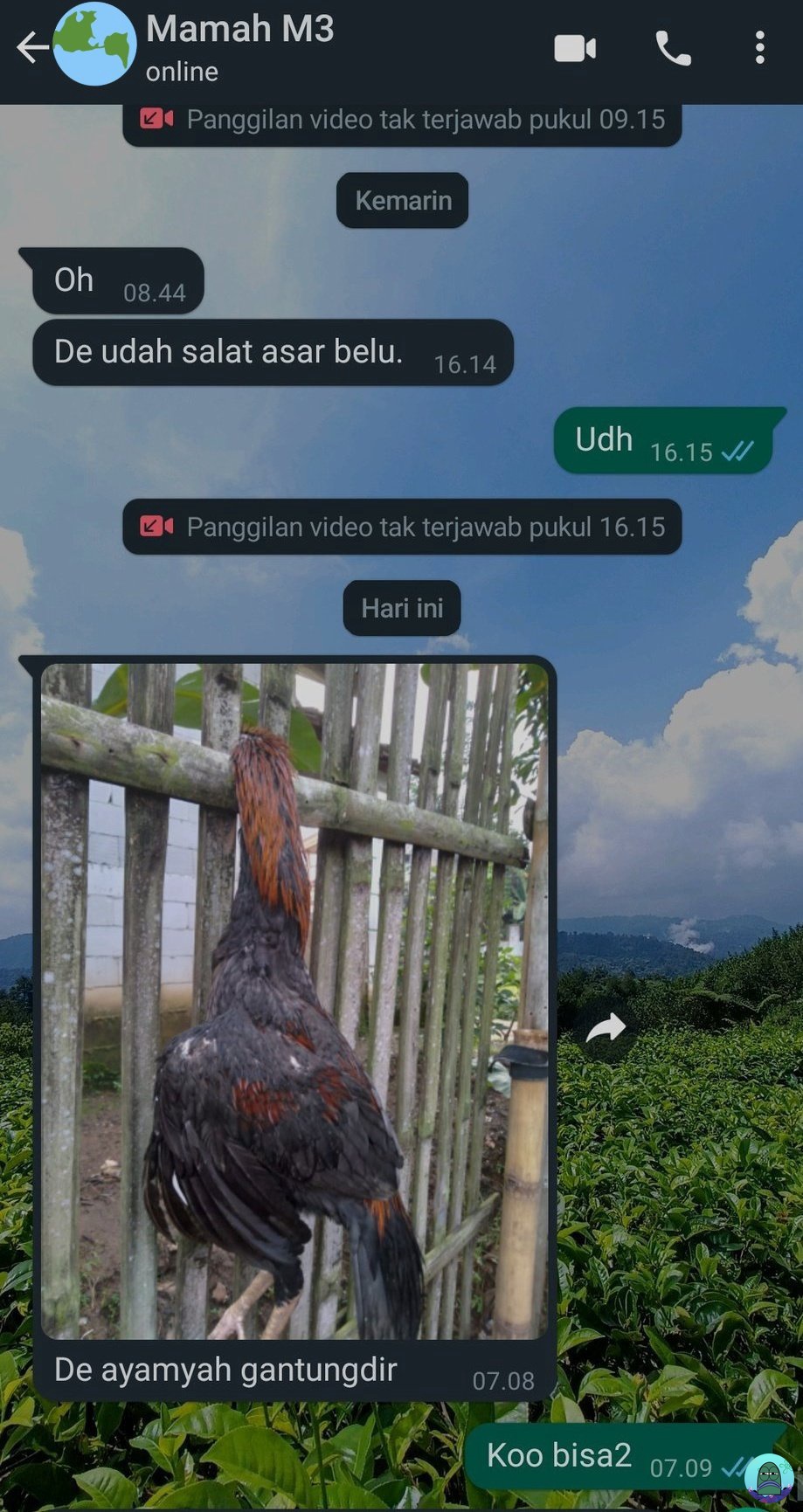 TanyarlㅡDilarang Rep LINK AFF‼ on Twitter: "💚 lima ka ta😭😭😭😭 https://t.co/zwhP5oG05j" / Twitter