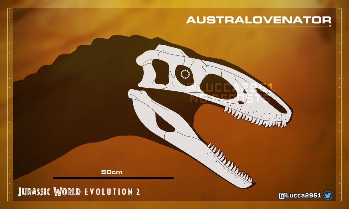Australovenator Skeleton