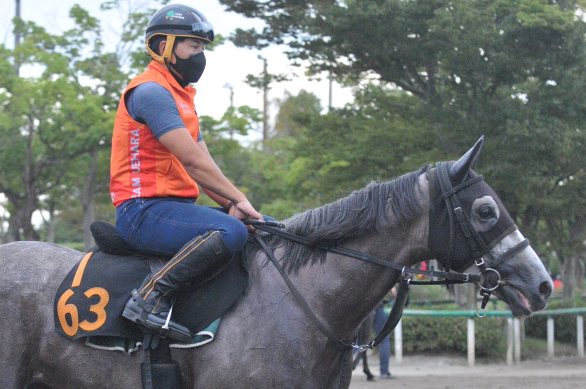 和田稔夫 Toshio Wada 🏇 週刊gallop・サンスポ・夕刊フジ On Twitter みんな大好き、ピクちゃん🙌 おめでとう