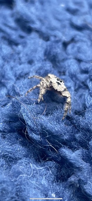 TW Pornstars - Venus O' Rickmon. The latest pictures and videos from ...