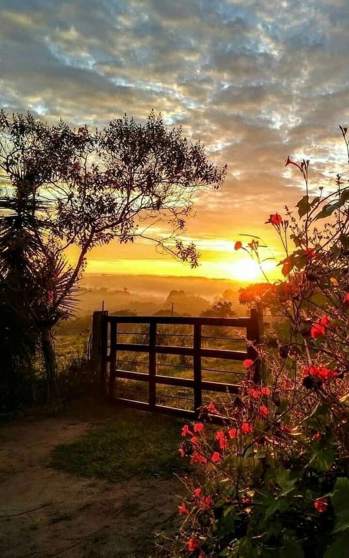 Beautiful Things In Nature