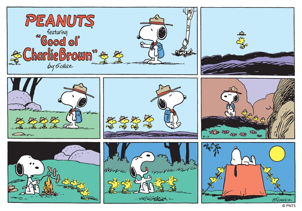 Charles M. Schulz Museum on Twitter: "This Peanuts Sunday comic strip was first published on ...
