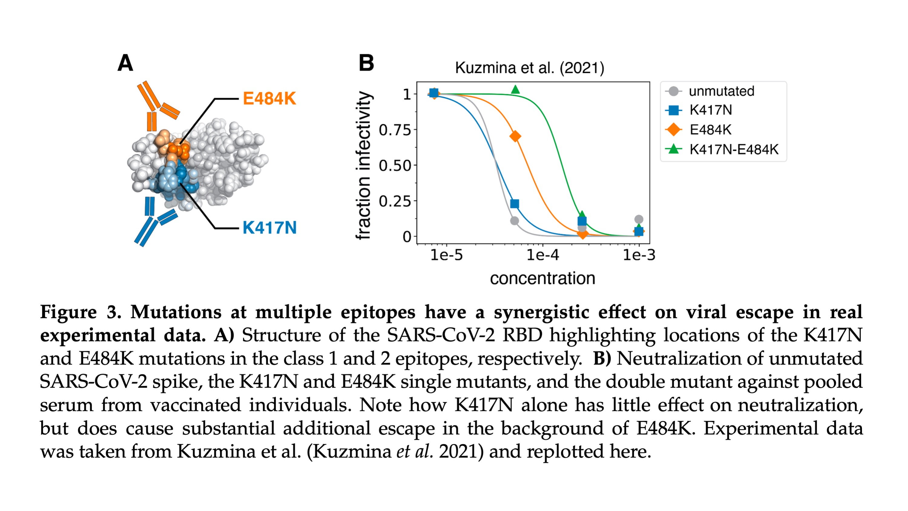 Bloom Lab on Twitter: "In new work, we formulate a biophysical model of viral escape from ...