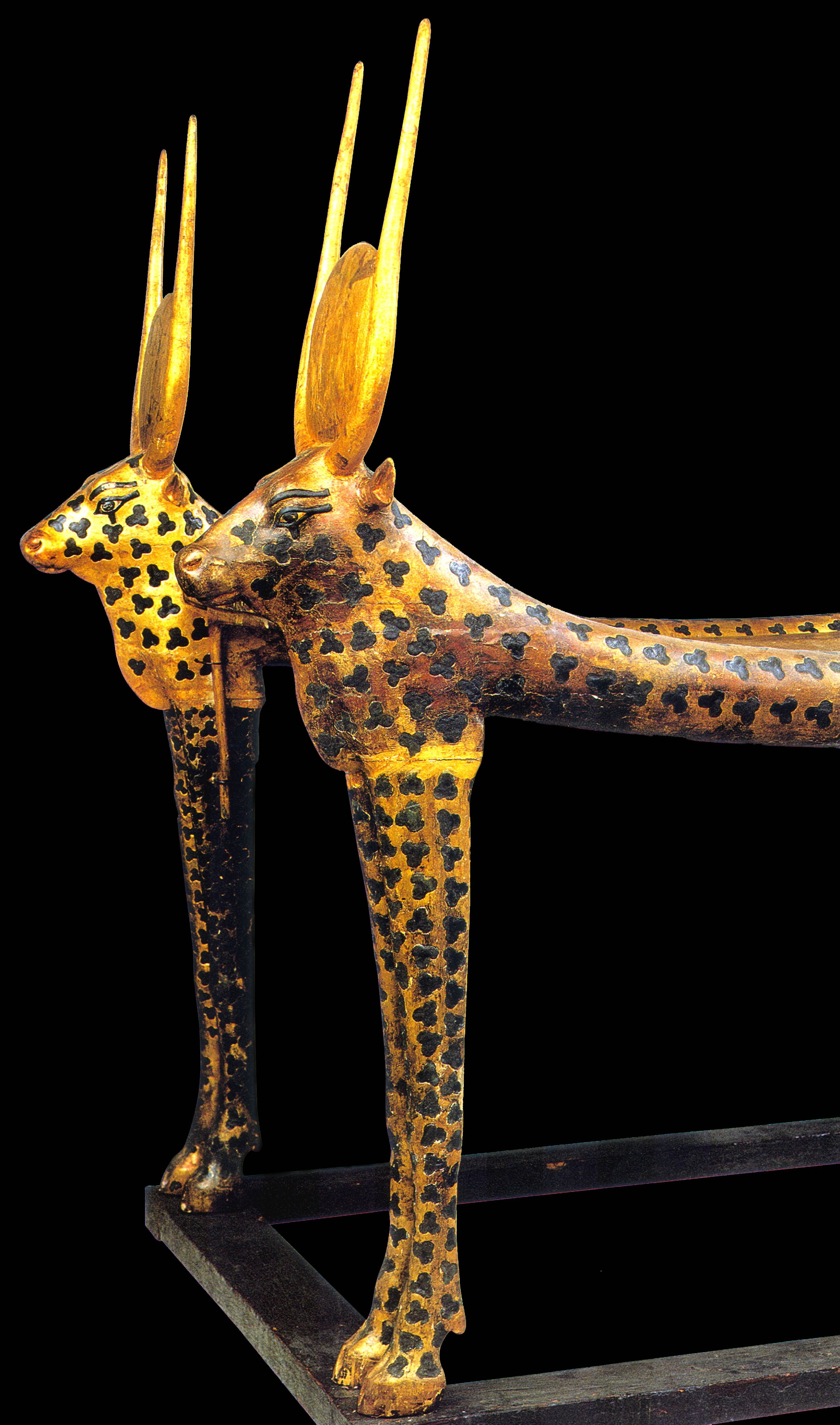 Dr. Peter J Brand (@PeterBrandEgypt) / Twitter