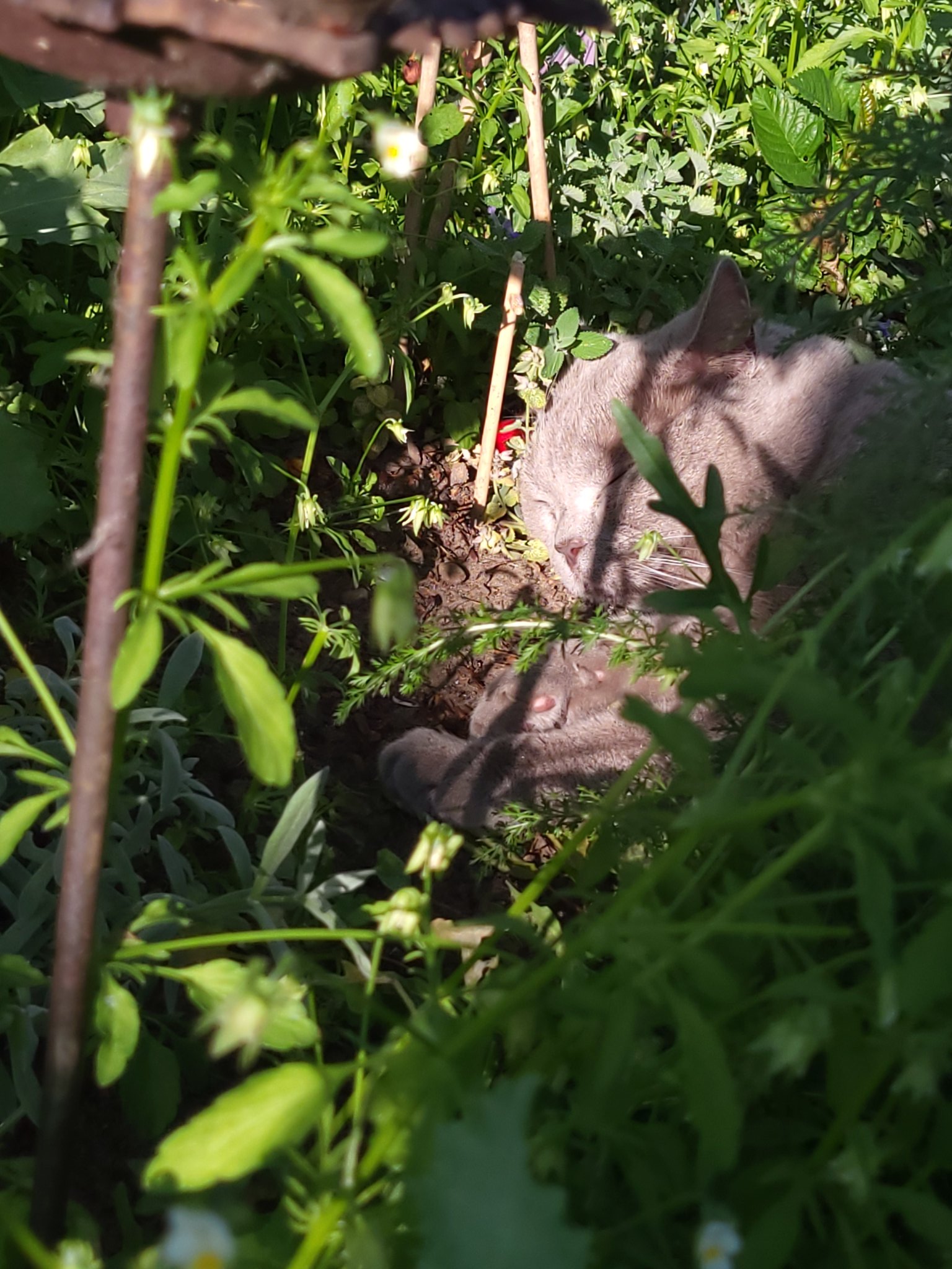 𝓦𝓞𝓜𝓟𝓘𝓔 (@wompie_domple) / Twitter