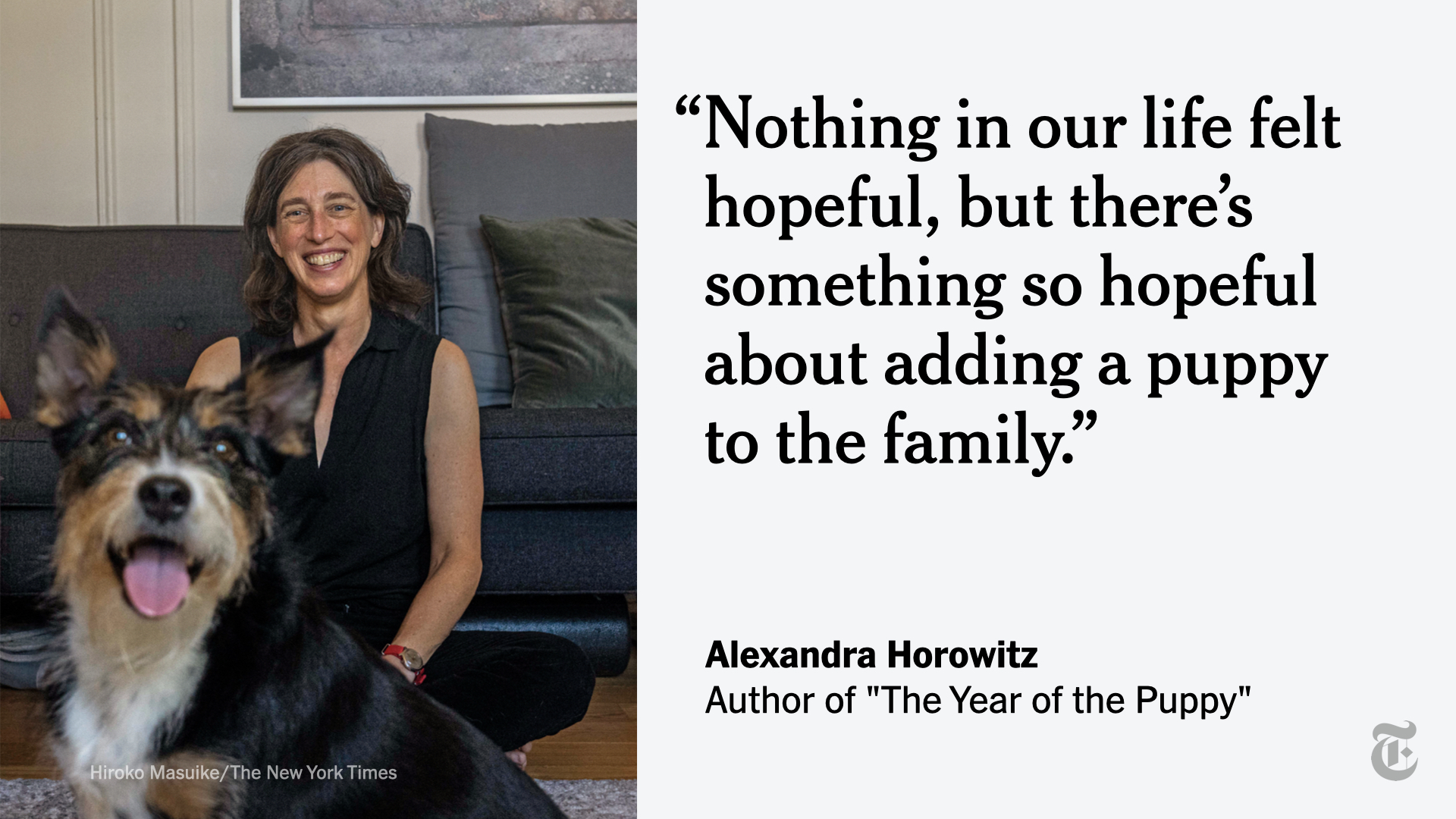 Alexandra Horowitz Quotes The Nose Knows No Bounds (with Alexandra