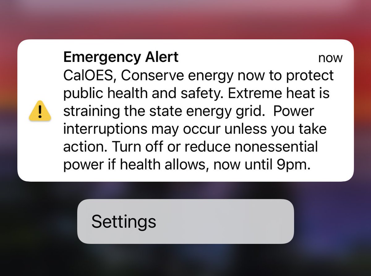 Thread by @ShellenbergerMD on Thread Reader App – Thread Reader App